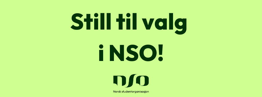 Nå er det din mulighet - still til valg!